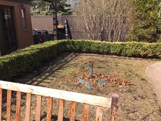 Free Bushes – Strawberry Hill Estates and Strawberry Point Bluffs